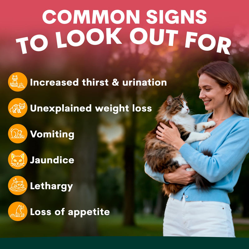Liver Support for Cats | Petz Park