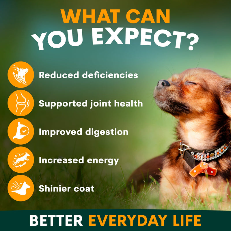 Tasty Multivitamin Supplements for Dogs | Petz Park