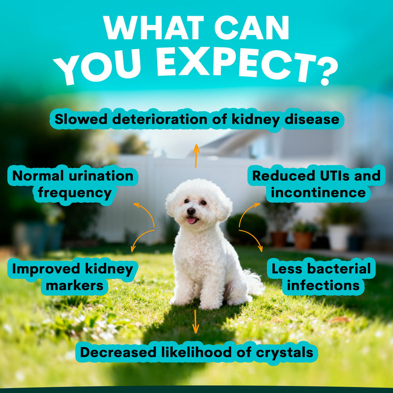 Urinary and Kidney Supplement for Dogs | Petz Park